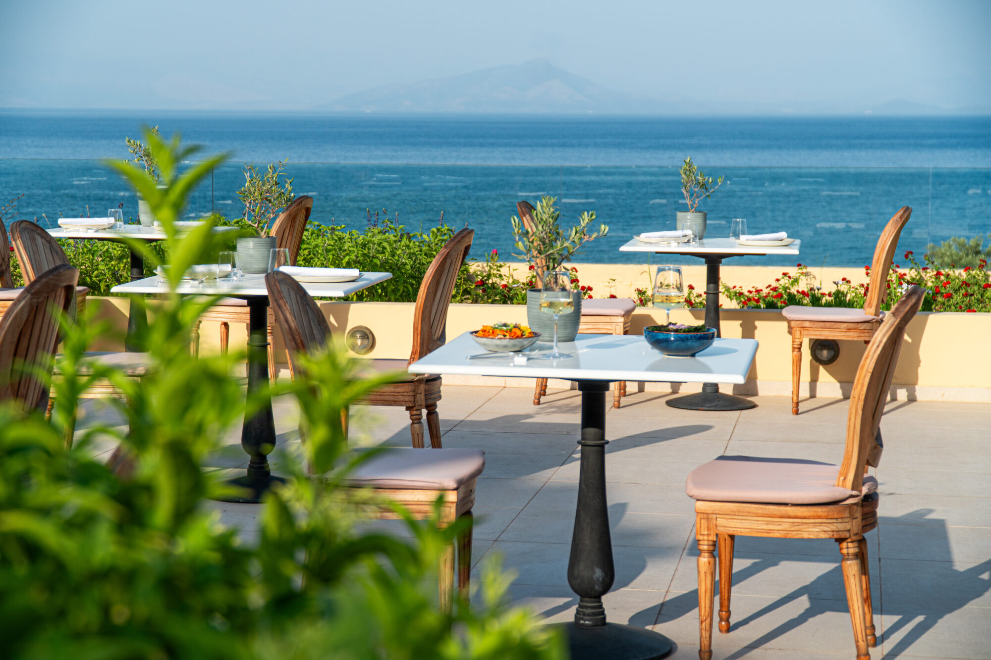 GREEK CHEFS ABROAD VOL. V | Five Years of Gastronomic Excellence - WINE ...